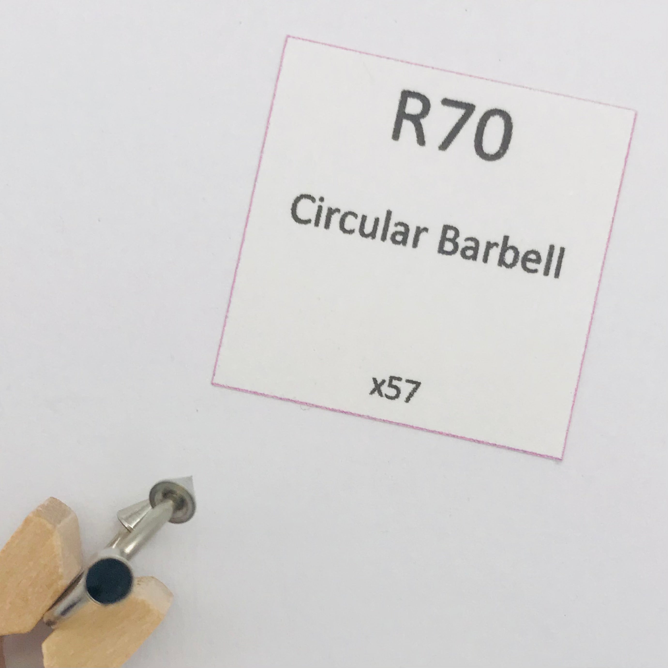 Surgical Stainless Steel Black Crystal Circular Barbell – Big Dog Steel