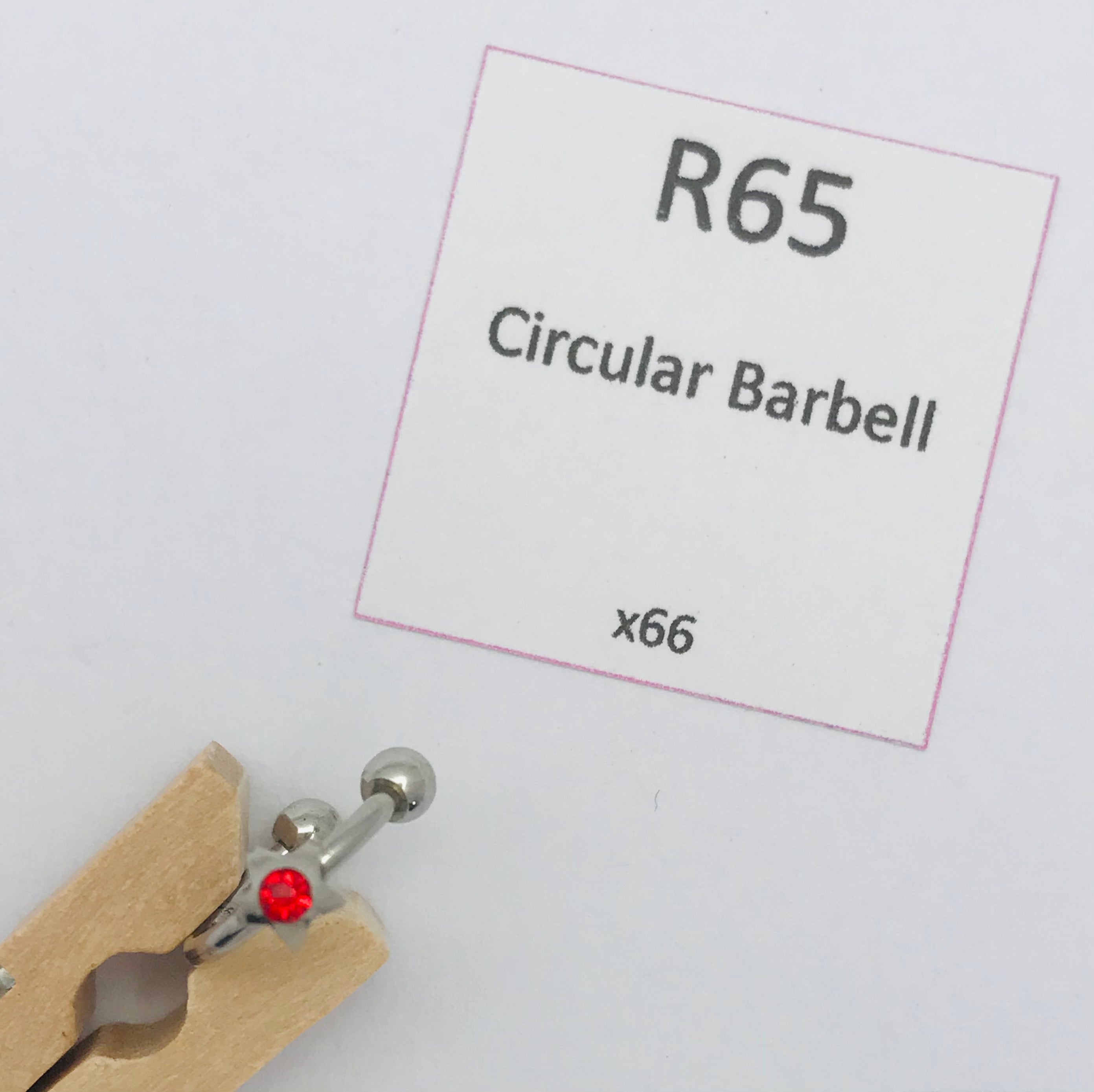 Surgical Stainless Steel Red Crystal Star Circular Barbell – Big Dog Steel